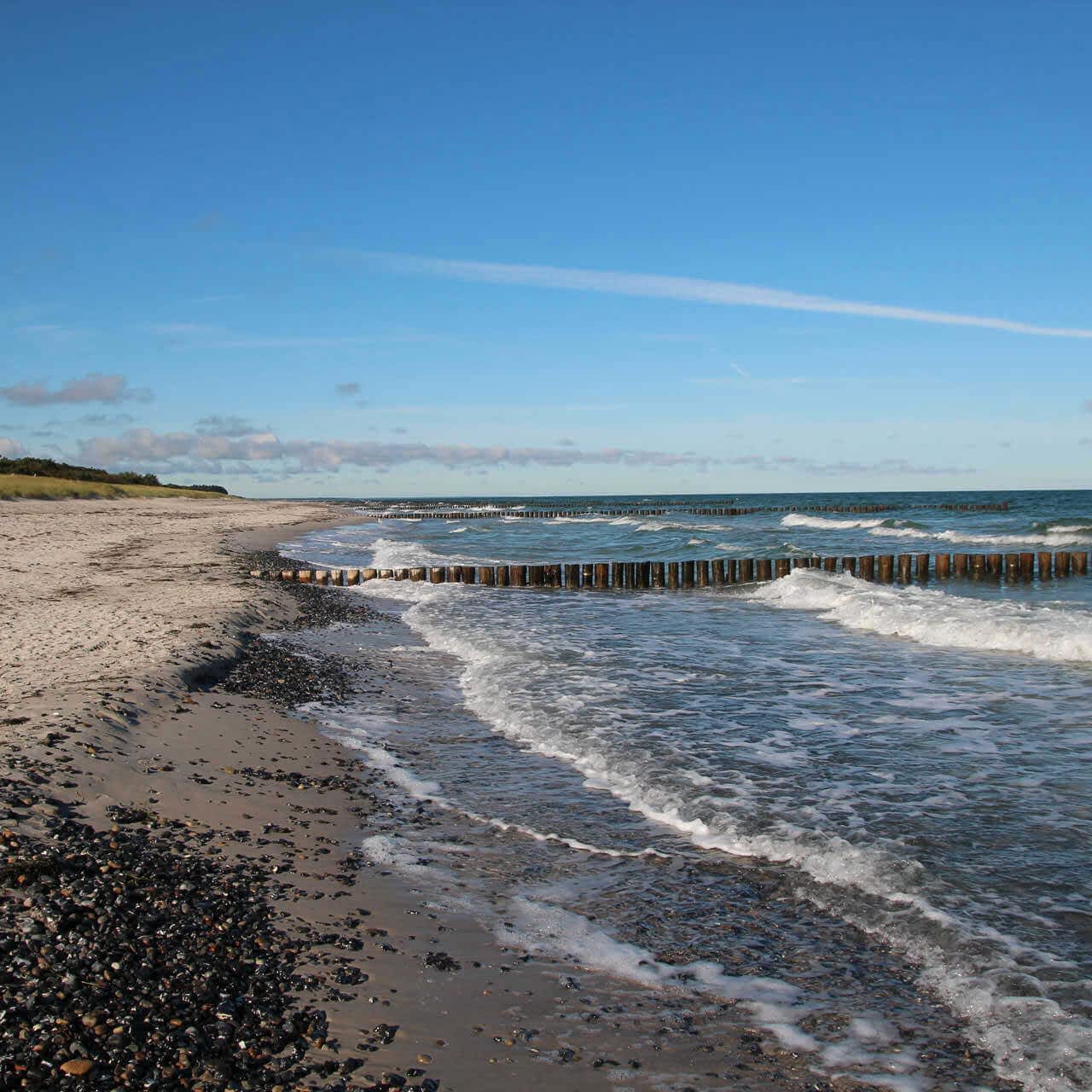 Ferienhaus Prerow - Haus Treibholz - an der Ostsee